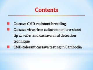 Cassava breeding and screening activities in China | PPT