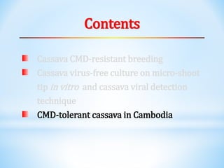 Cassava breeding and screening activities in China | PPT | Free Download