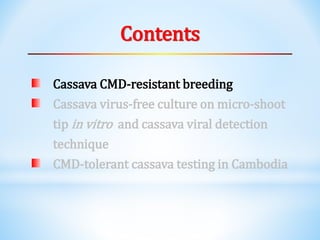 Cassava breeding and screening activities in China | PPT