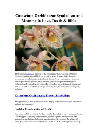 Catasetum Orchidaceae Symbolism and Meaning in Love, Death & Bible.docx