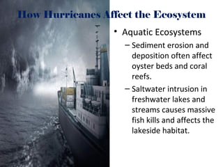 Catastrophic events impact on the ecosystem (nx power lite) | PPT