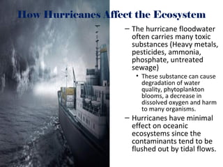 Catastrophic events impact on the ecosystem (nx power lite) | PPT