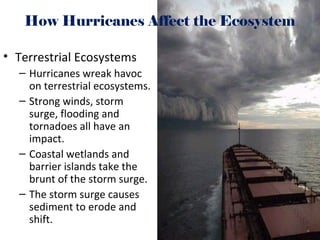Catastrophic events impact on the ecosystem (nx power lite) | PPT