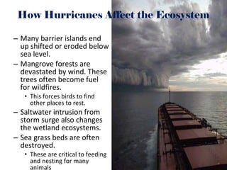 Catastrophic events impact on the ecosystem (nx power lite) | PPT