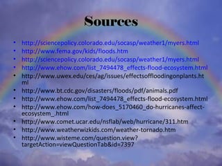 Catastrophic events impact on the ecosystem (nx power lite) | PPT