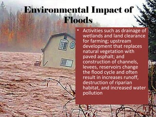 Catastrophic events impact on the ecosystem (nx power lite) | PPT