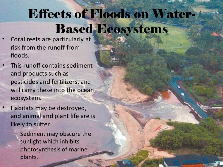 Catastrophic events impact on the ecosystem (nx power lite)