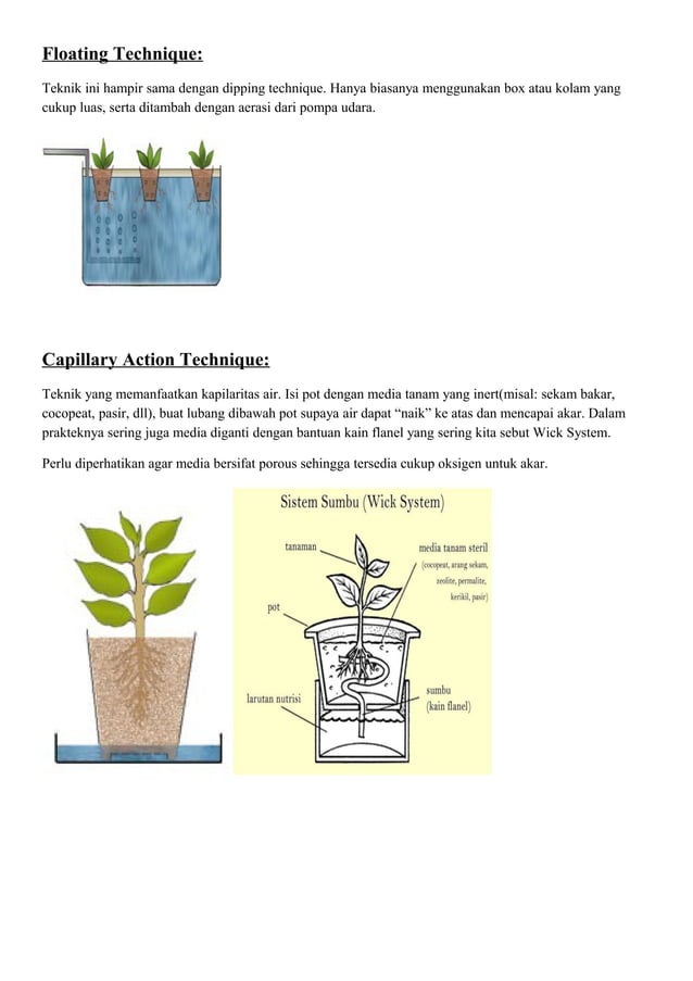 Catatan Hidroponik | PDF