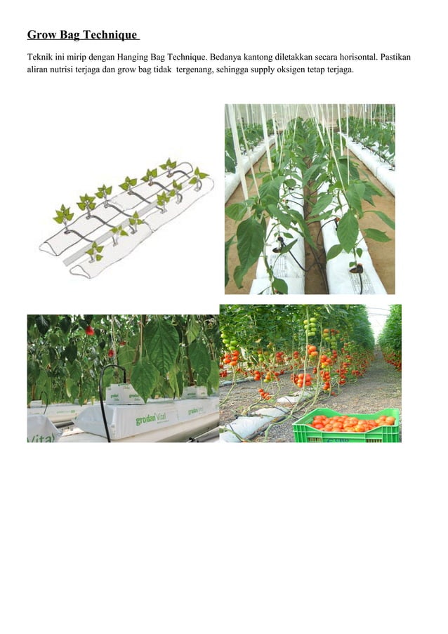 Catatan Hidroponik | PDF