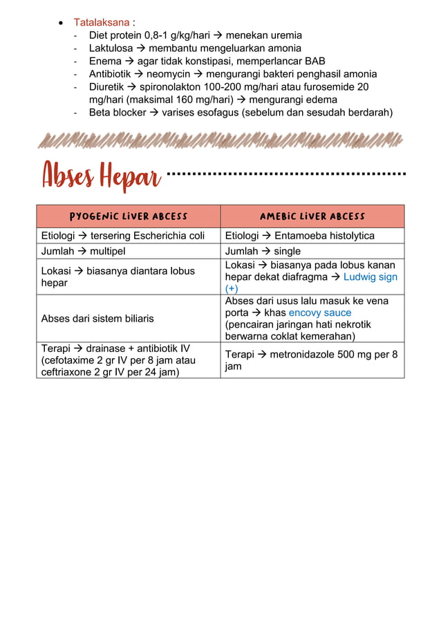 Catatan Interna - Randy Richter.pdf