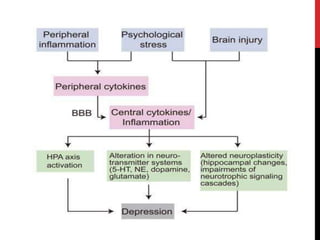 Depression with catatonia | PPTX