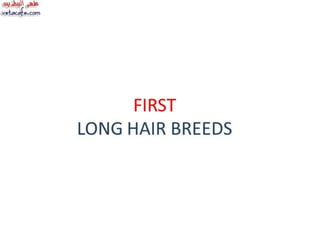 Cat breeds | PPTX | Cats | Pets