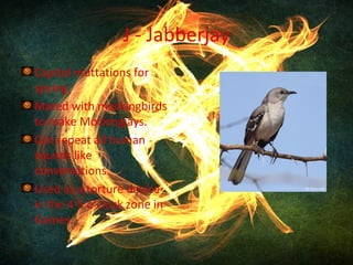 Jabberjay And Mockingjay