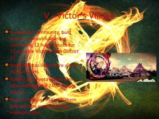 Mockingjay Pin On Fire