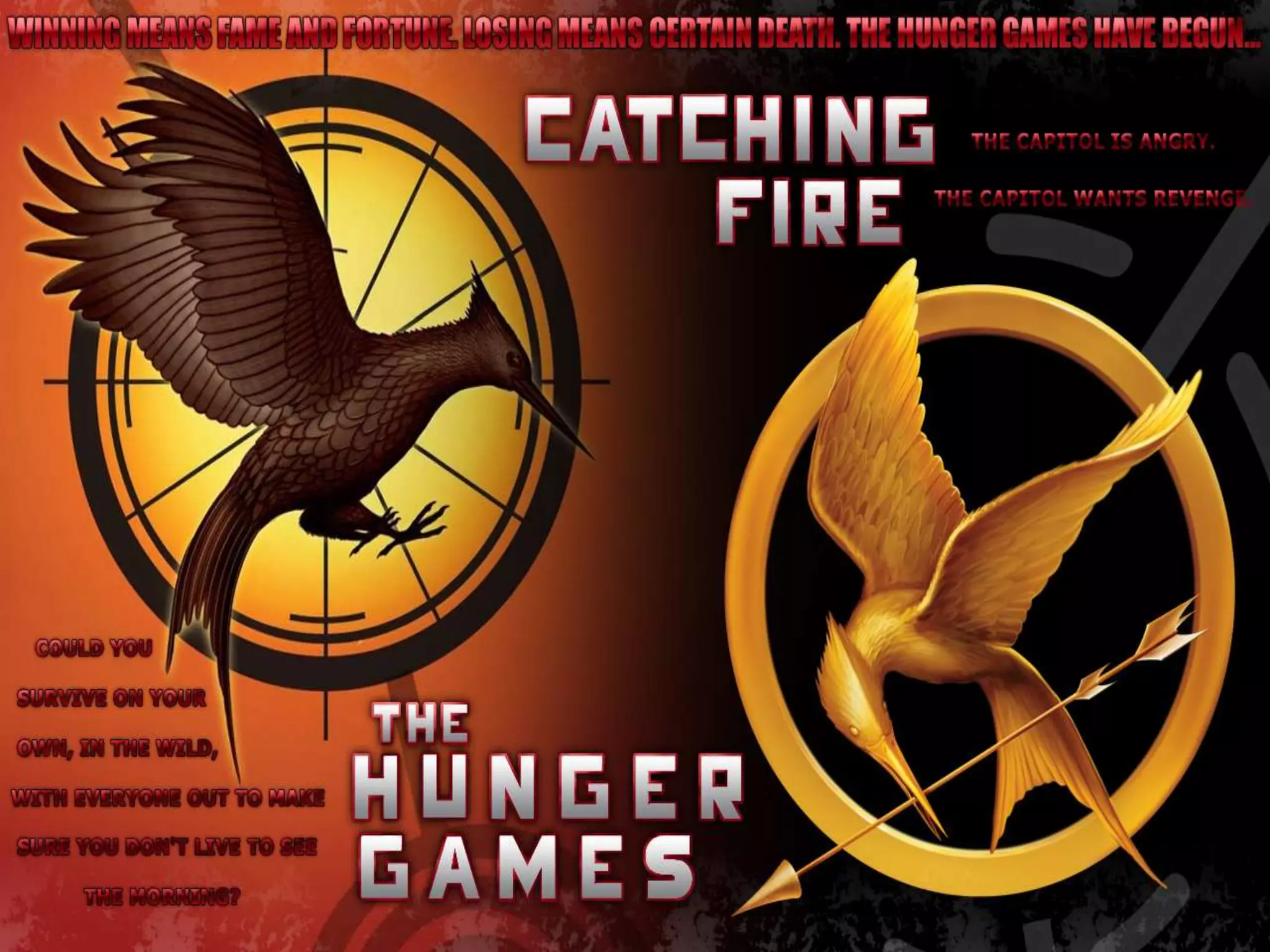 Catching fire book talk | PPT