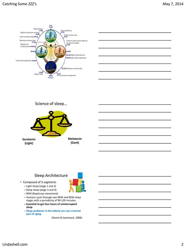 Catching some zz zs presentation handouts | PDF