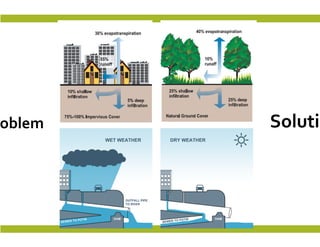Catchment 2 Green Infrastructure Conceptual Plan | PDF