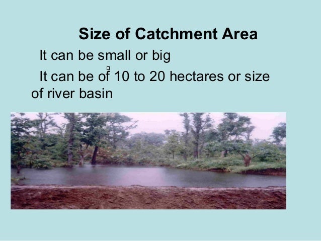 Catchment Area