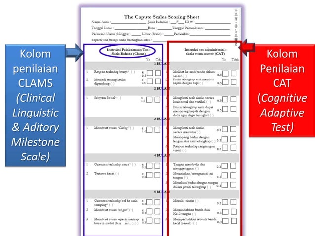 CAT CLAMS TEORI PENGAYAAN PPDS.ppt