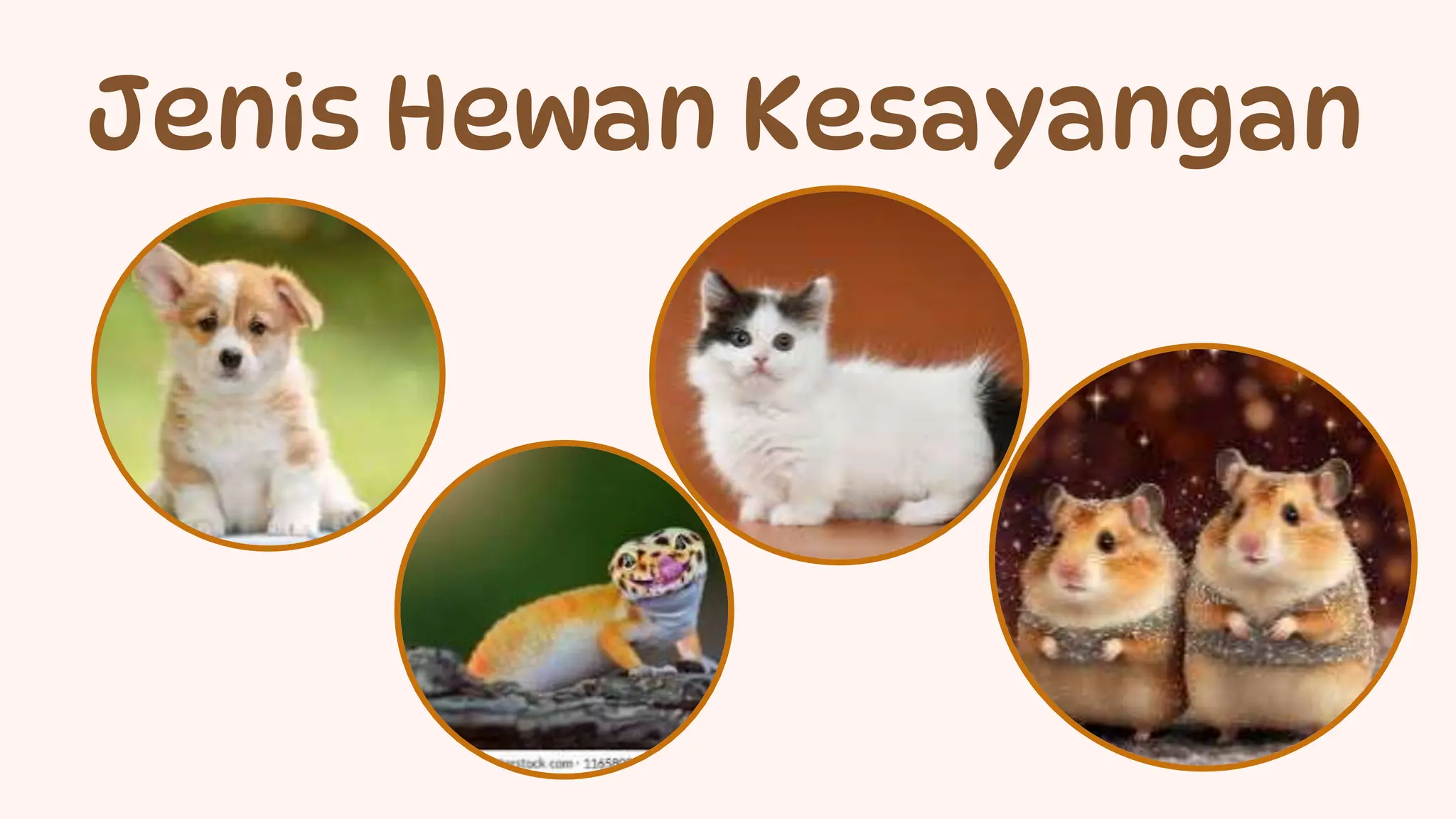 tema power poin bertemakan kucing untuk presentasi yang menarik | PPTX