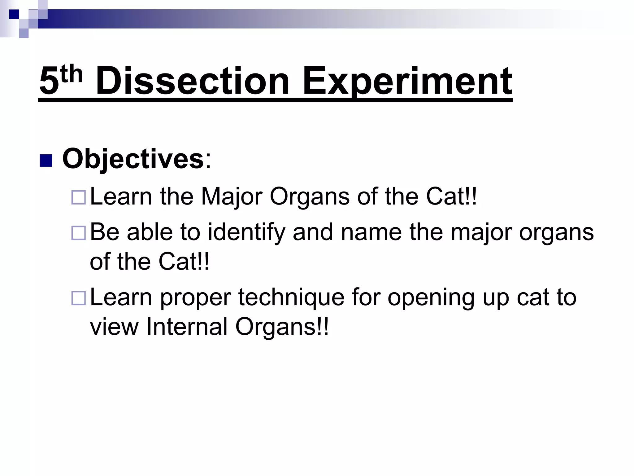 Cat dissection lab and notes chem and bio | PPTX