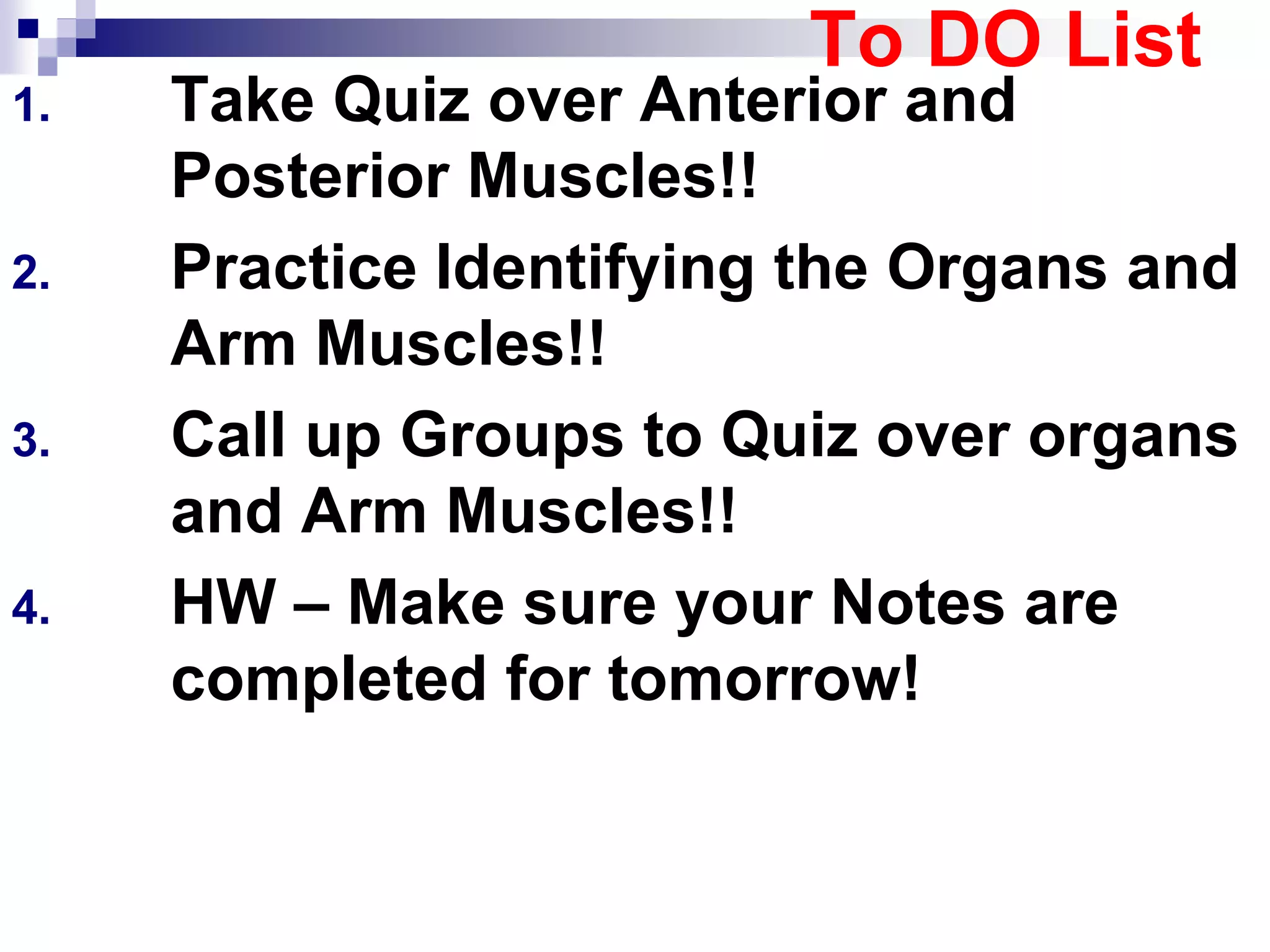 Cat dissection lab and notes chem and bio | PPTX