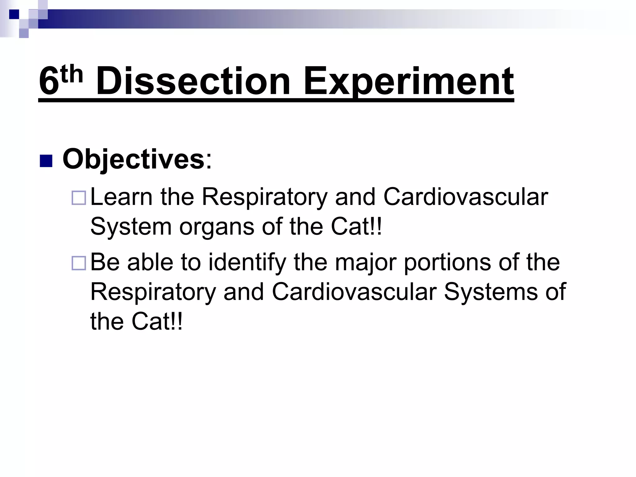 Cat dissection lab and notes chem and bio | PPTX