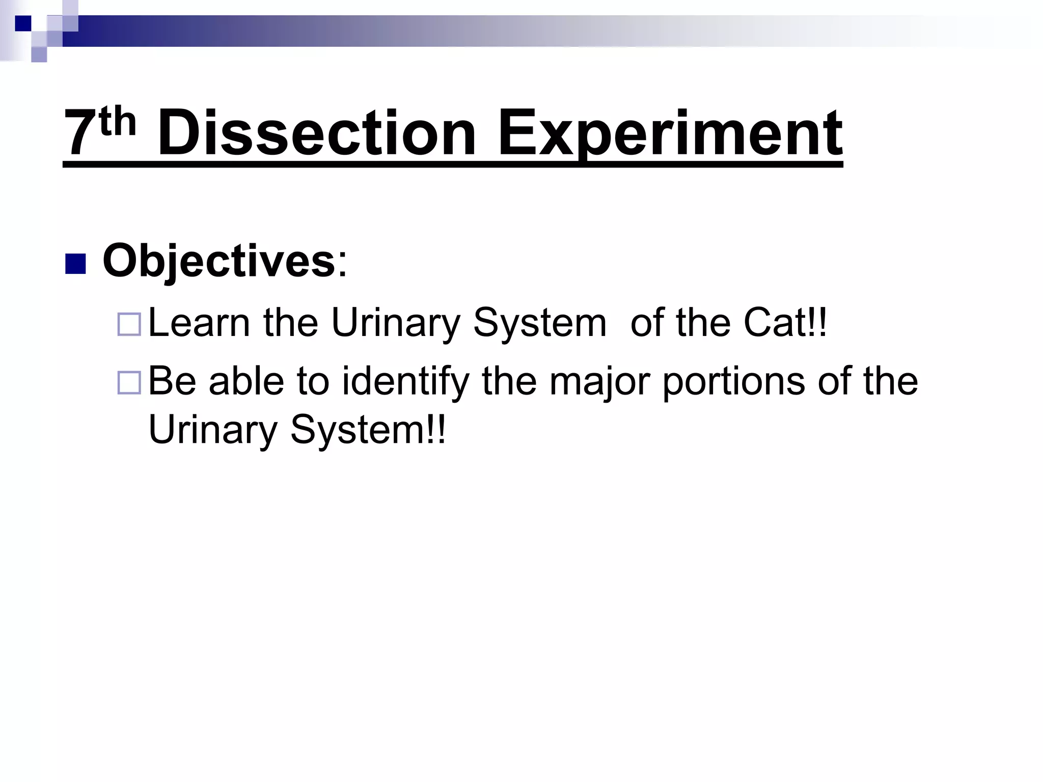 Cat dissection lab and notes chem and bio | PPTX