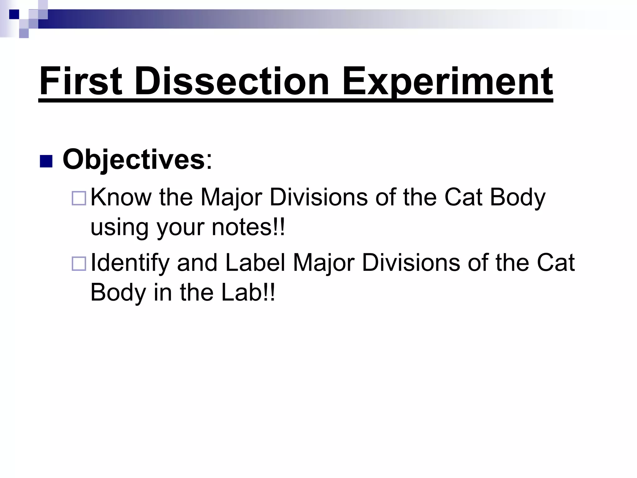 Cat dissection lab and notes chem and bio | PPTX