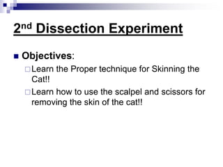 Cat dissection lab and notes chem and bio | PPTX