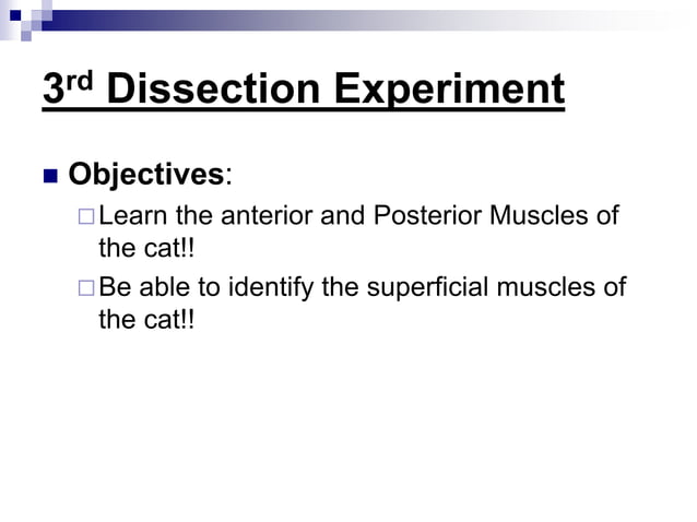 Cat dissection lab and notes chem and bio | PPTX | Heart and ...
