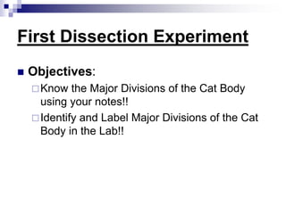 Cat dissection lab and notes chem and bio | PPTX