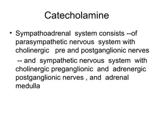 catecholamine (Endocrinology - ADRENAL).ppt