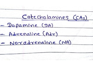 Catecholamines | PDF