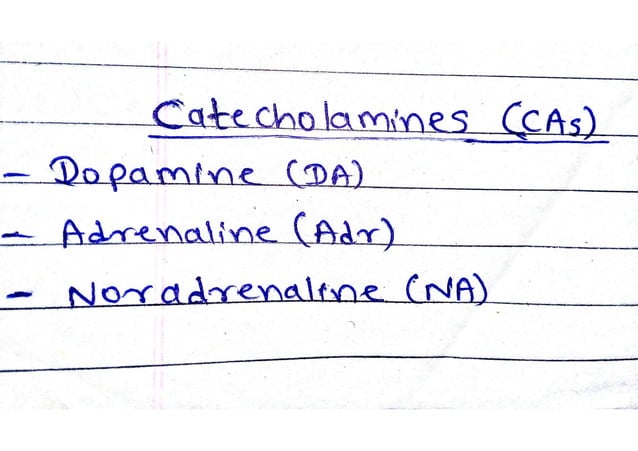 Catecholamines | PDF