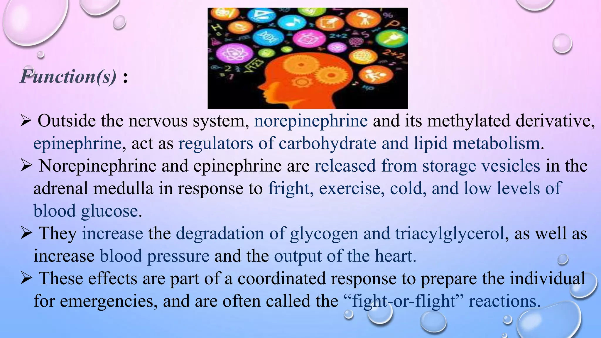 Catecholamines - Rivin | PPTX