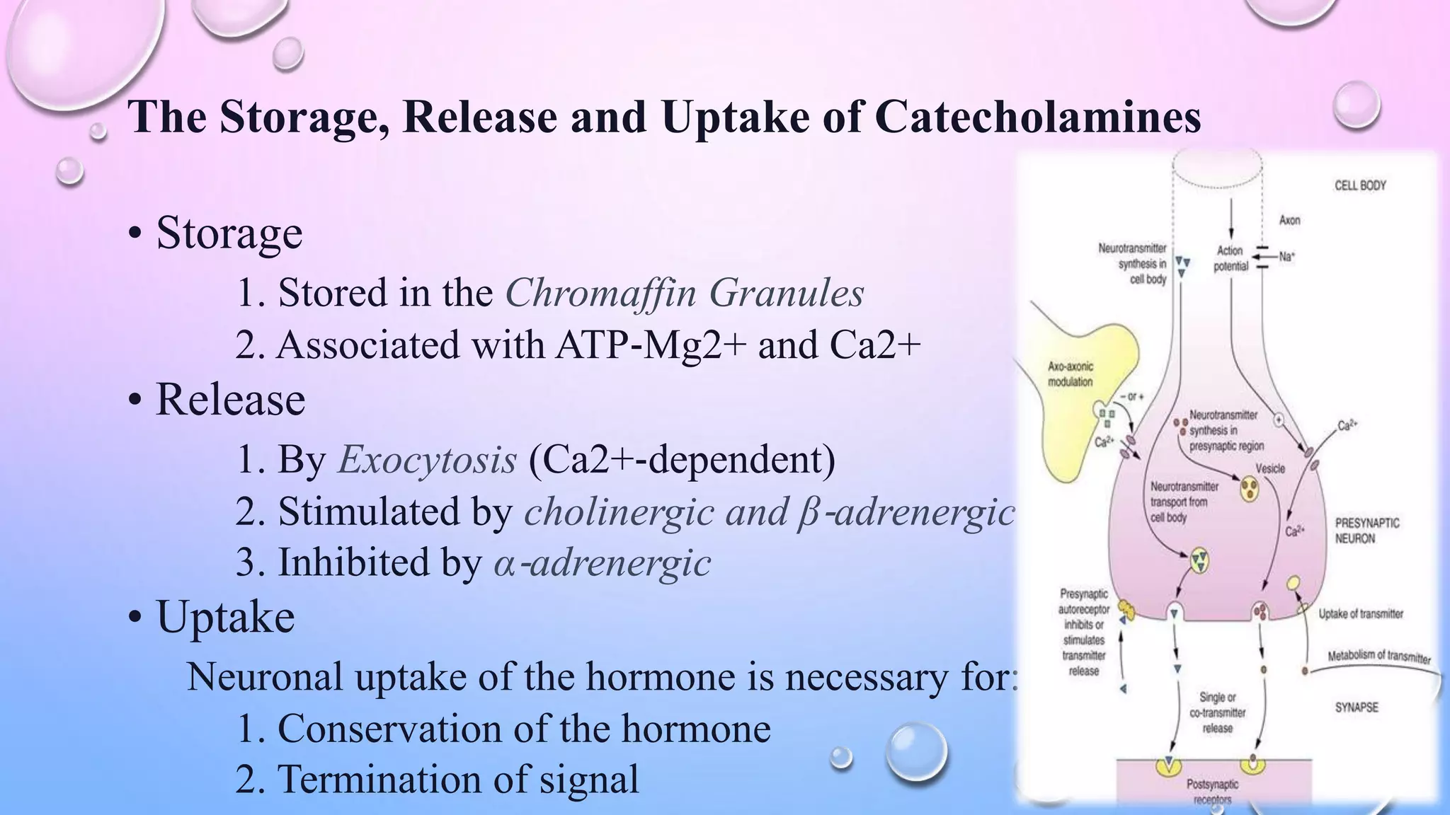 Catecholamines - Rivin | PPTX