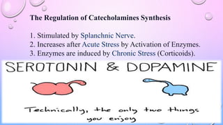 Catecholamines - Rivin | PPTX