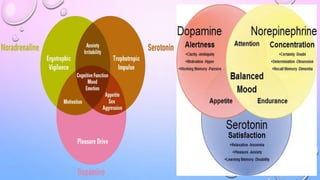 Catecholamines - Rivin | PPTX