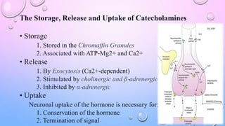 Catecholamines - Rivin | PPTX