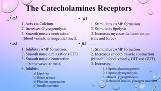 Catecholamines - Rivin | PPTX
