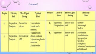 Catecholamines - Rivin | PPTX