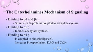 Catecholamines - Rivin | PPTX