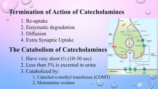 Catecholamines - Rivin | PPTX