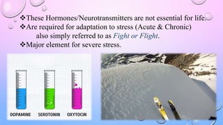 Catecholamines - Rivin | PPTX