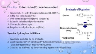 Catecholamines - Rivin | PPTX