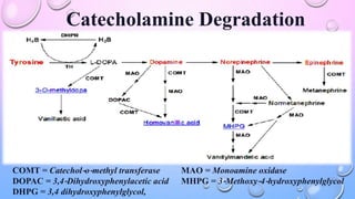 Catecholamines - Rivin | PPT