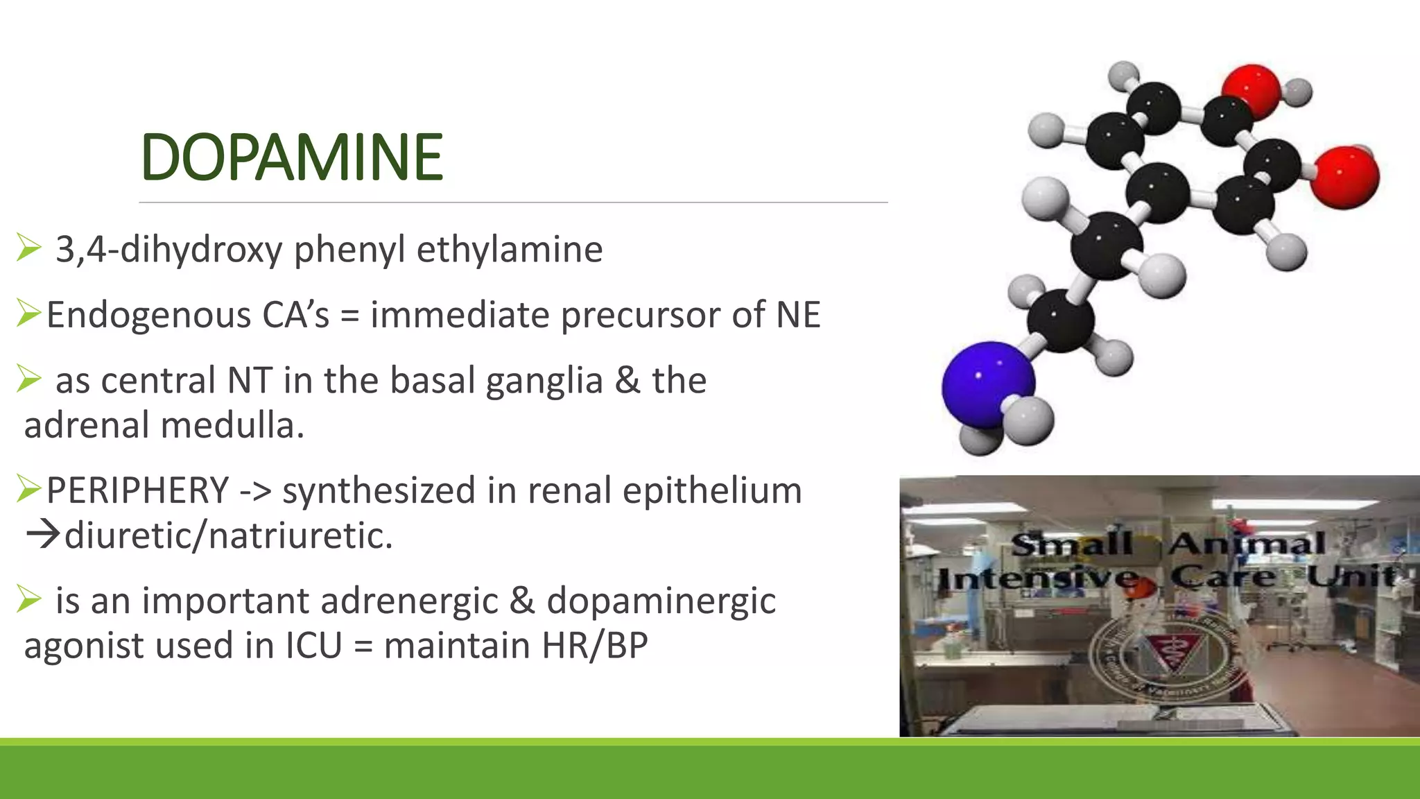 Catecholamines & noncatecholamines | PPTX | Endocrine and Metabolic ...