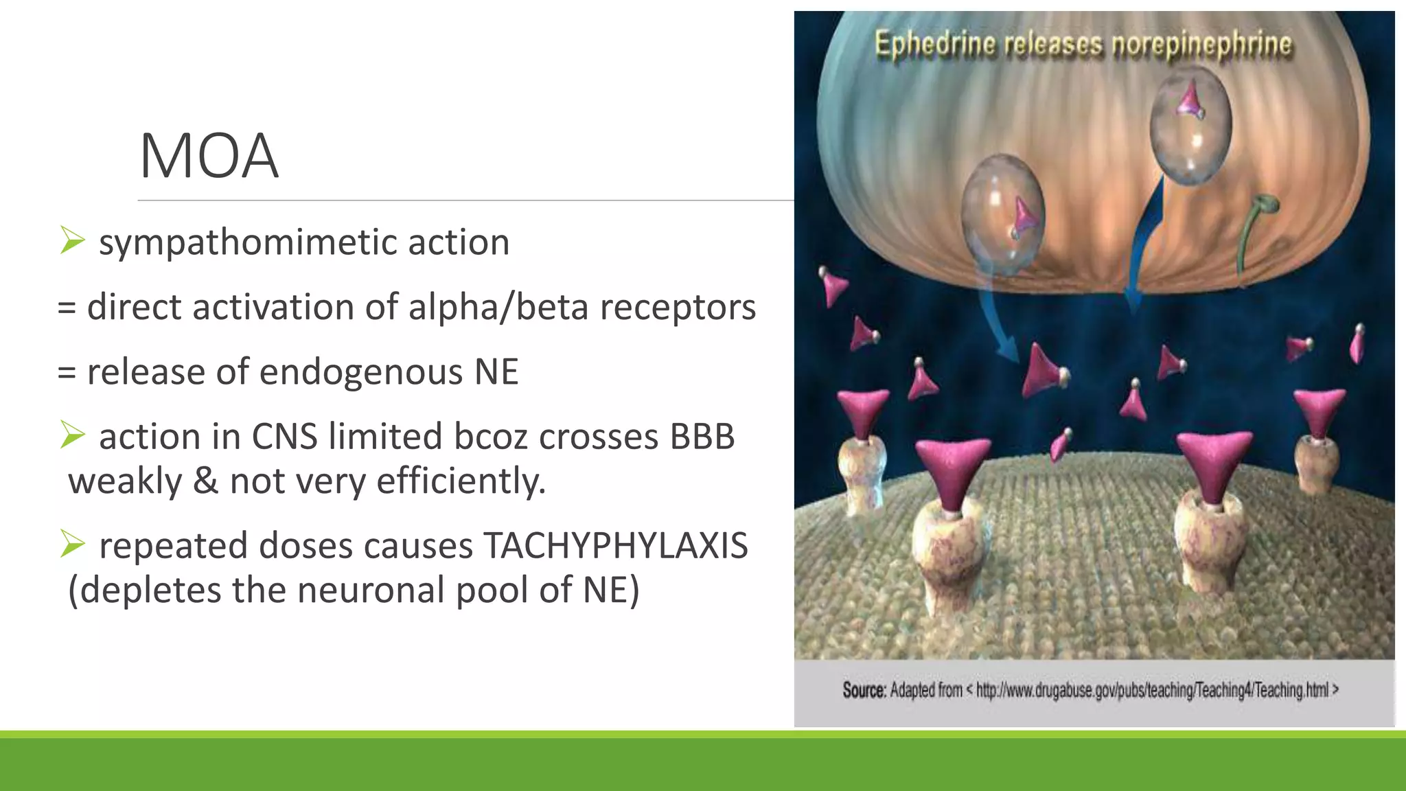Catecholamines & noncatecholamines | PPTX
