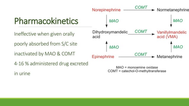 Catecholamines & noncatecholamines | PPTX | Endocrine and Metabolic ...